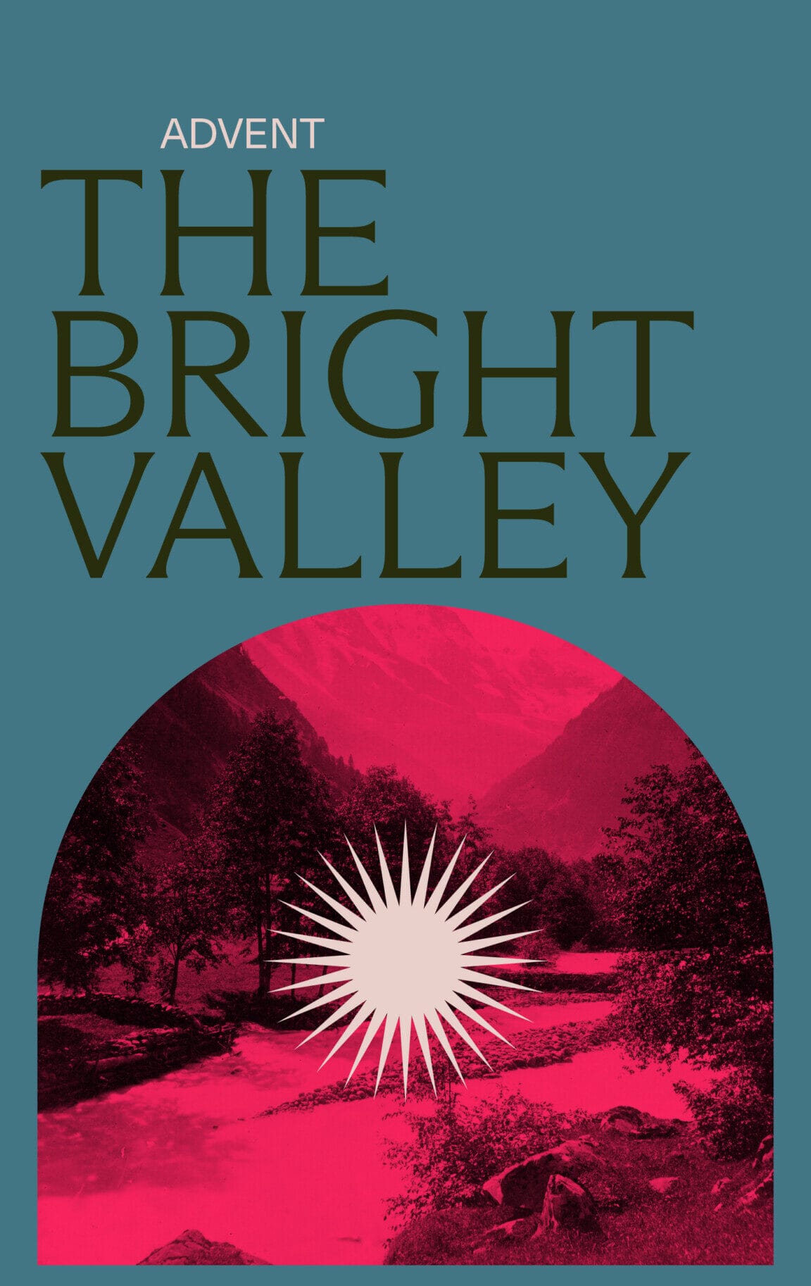 The Bright Valley - Vineyard USA