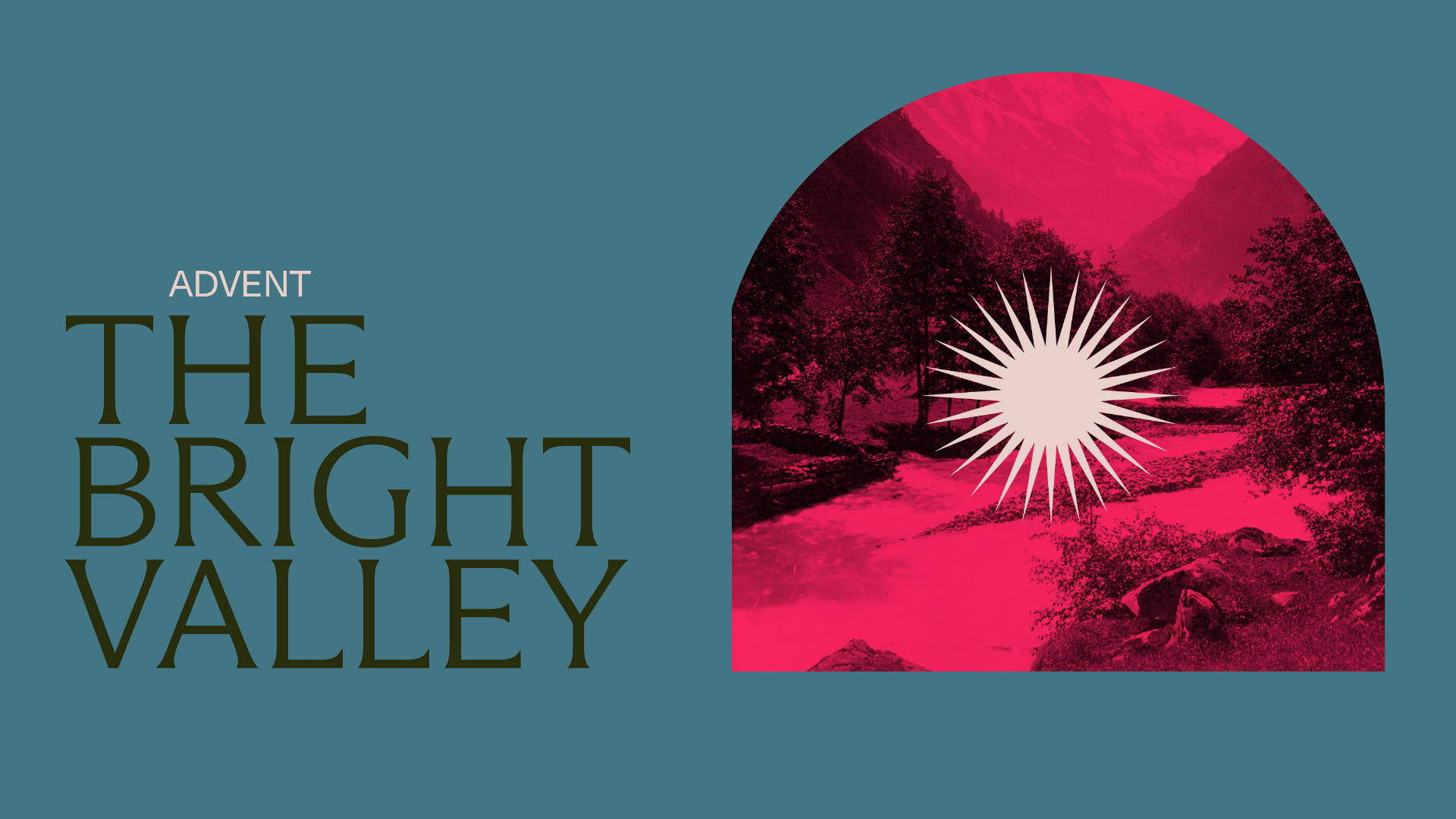 The Bright Valley - Vineyard USA